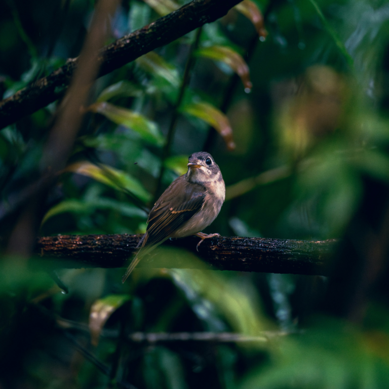 Communities of Practice - ISCN