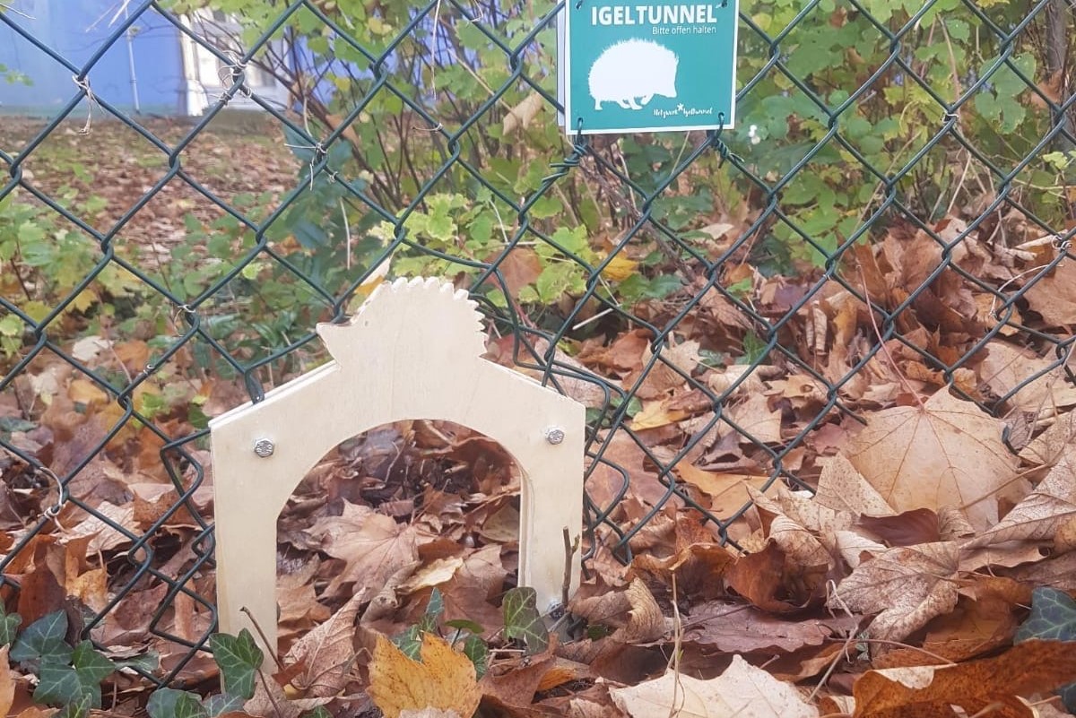 2024 Award Winner: Freie Universität Berlin - ISCN